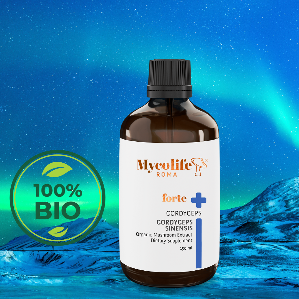 Forte Cordyceps Dual Extract 150ml Organic | Mycolife
