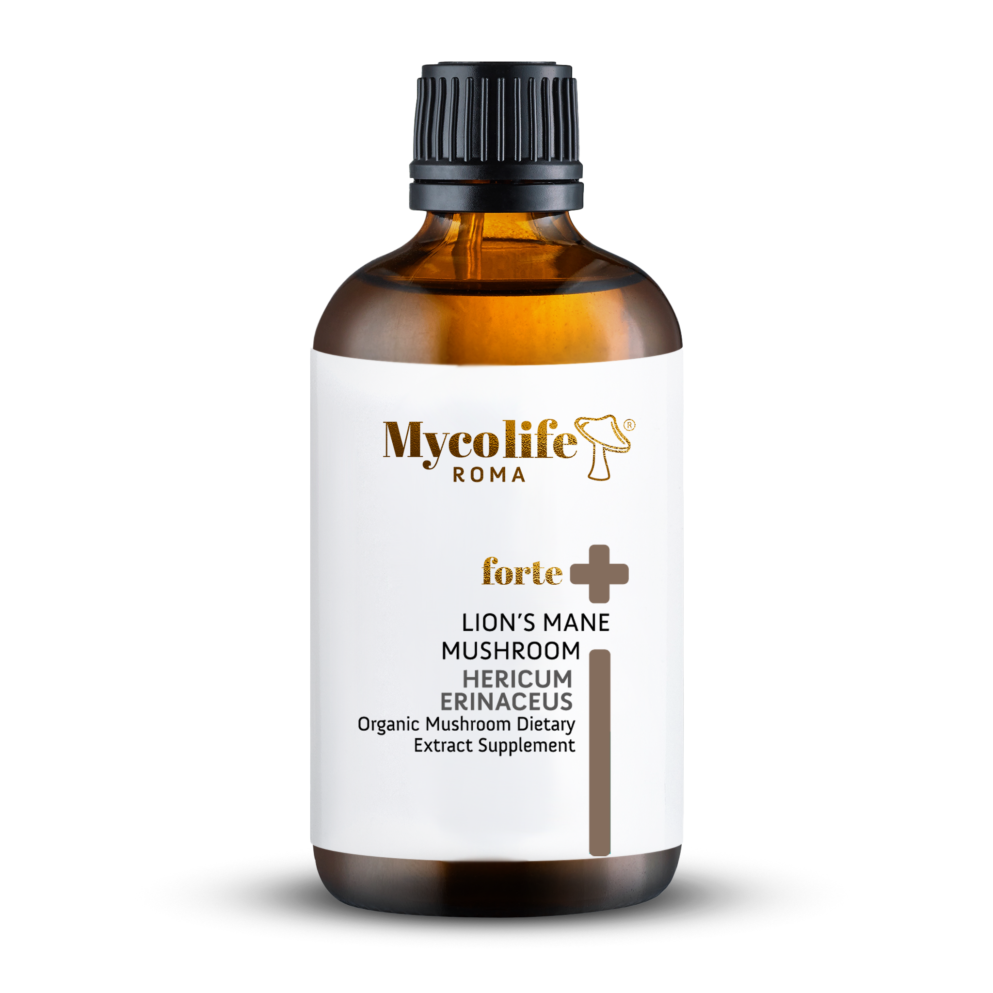 Forte Lion's Mane Mushroom Extract - 150ml – Mycolife