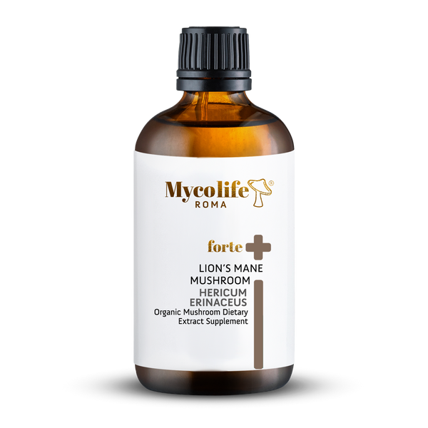 Forte Lion's Mane Mushroom Extract - 150ml – Mycolife